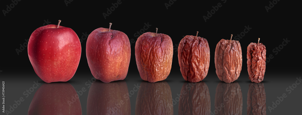 Life Cycle Biology and Aging Process as a new fresh ripe red apple ...