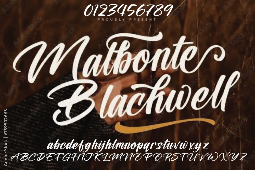 Font Handwritten Signature Brush Font Type Font lettering handwritten ...