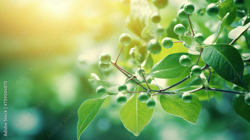 Plants background with biochemistry structure. Copy space using as ...