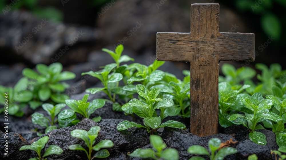 Christian cross in a soil with many sprouts and dew. Symbol of death ...