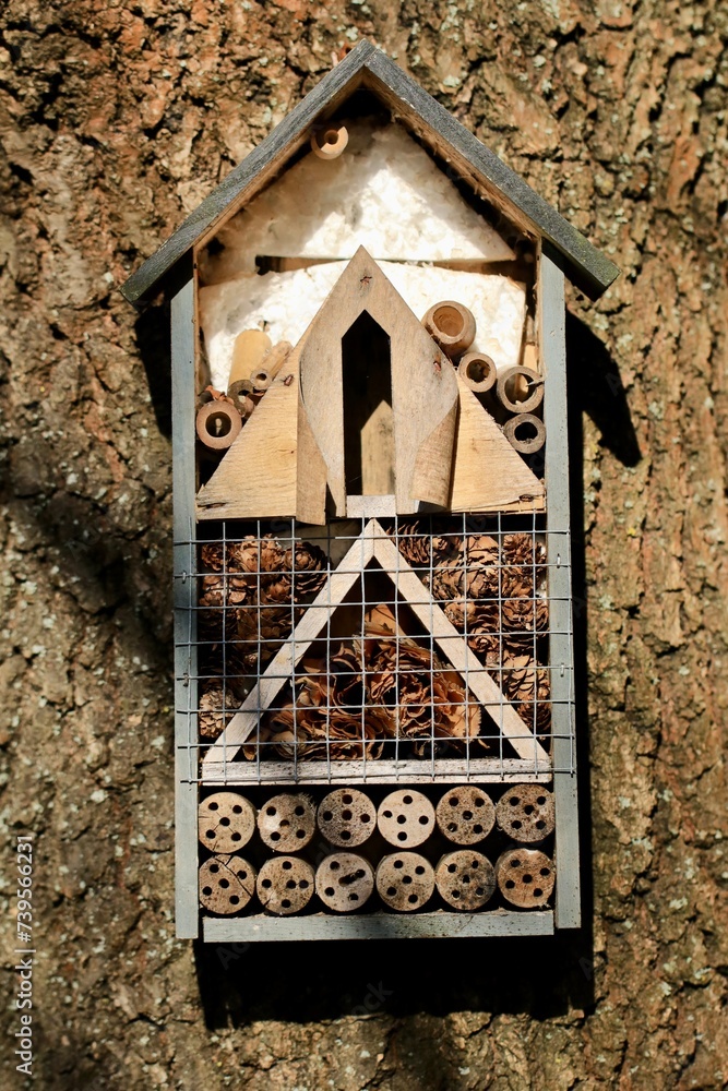 Hotel dla owadów. Domek dla pszczół. Pszczoły samotnice, murarki i ...