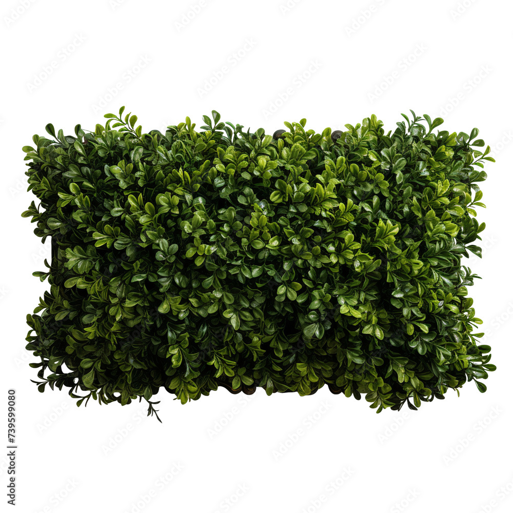 Flower shrub bush fence tree isolated plant on transparent background ...