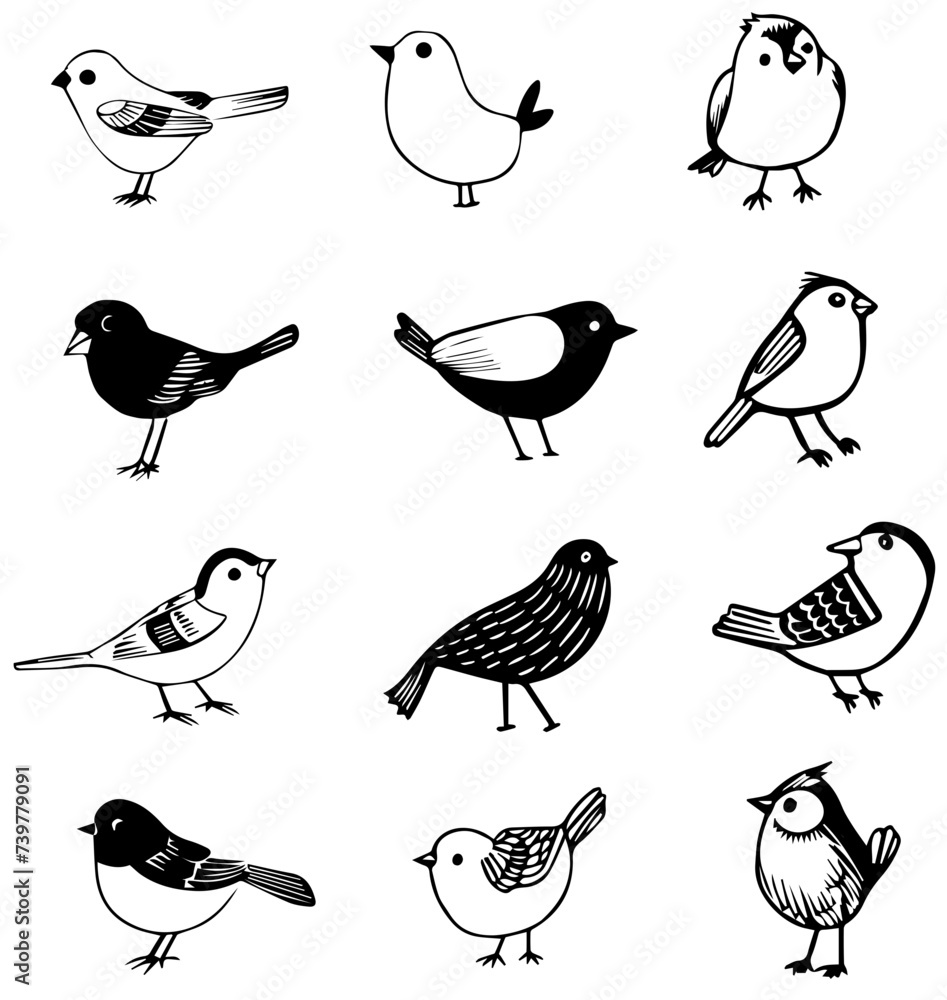 bird vector transparent background PNG clipart Stock Vector | Adobe Stock