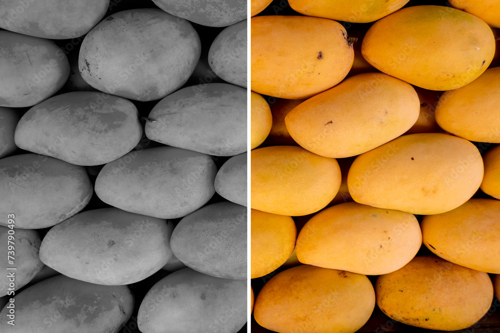 Difference between grayscale and full color photos. Split image ...