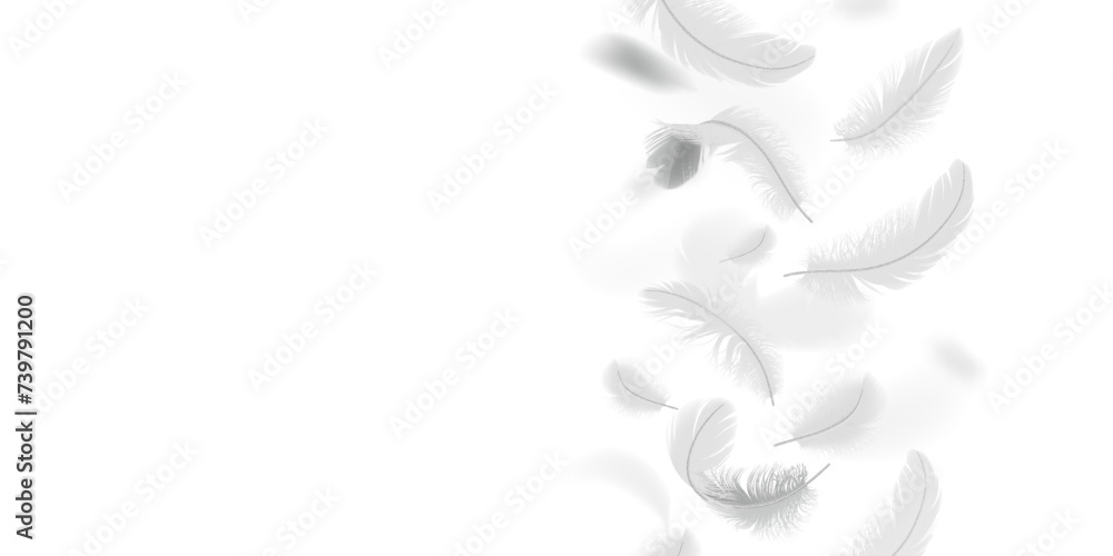 Feathers border column realistic vector illustration. Frame of white ...