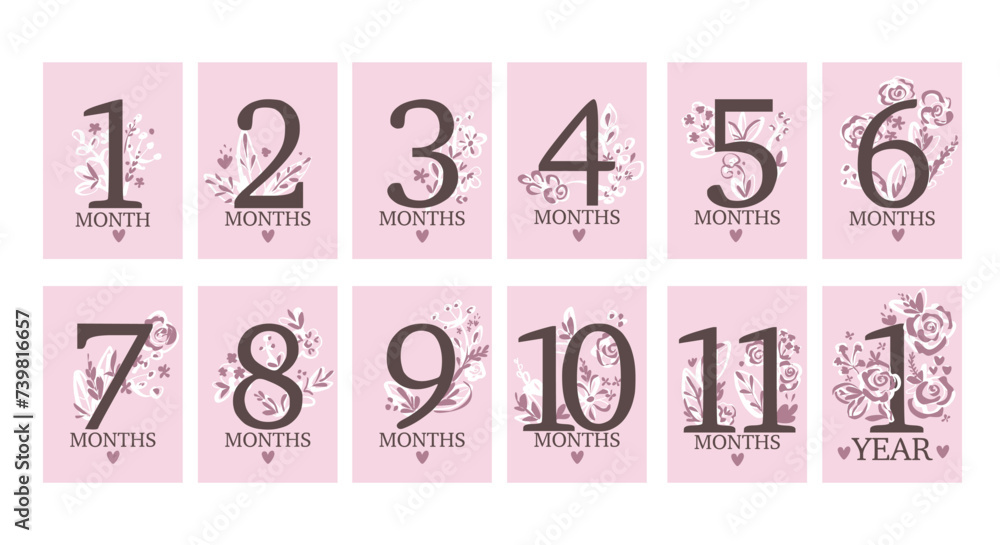 Baby milestone cards. First months cards. Flowers cards.Baby shower ...