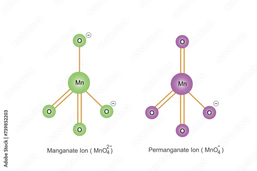 Manganate is a green, oxidizing agent.Permanganate is purple, powerful ...