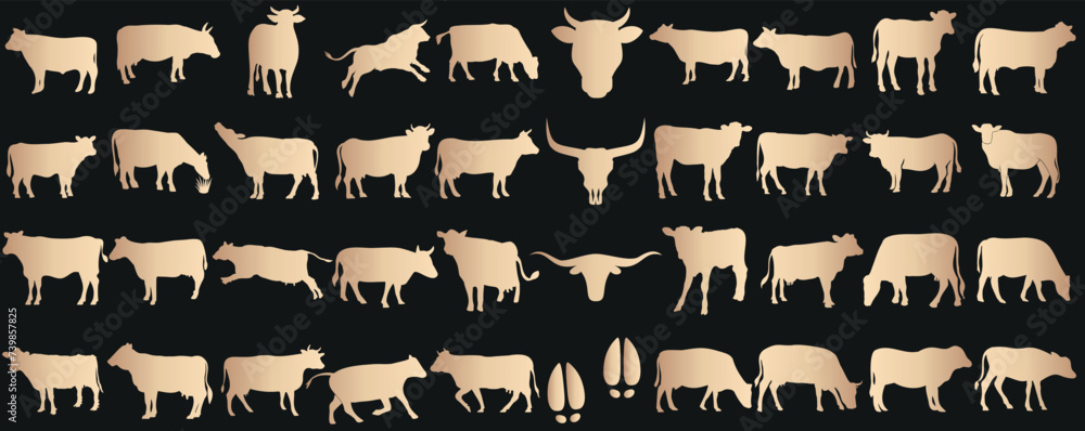 Cow silhouettes, diverse cow shapes, sizes of calf on black background ...