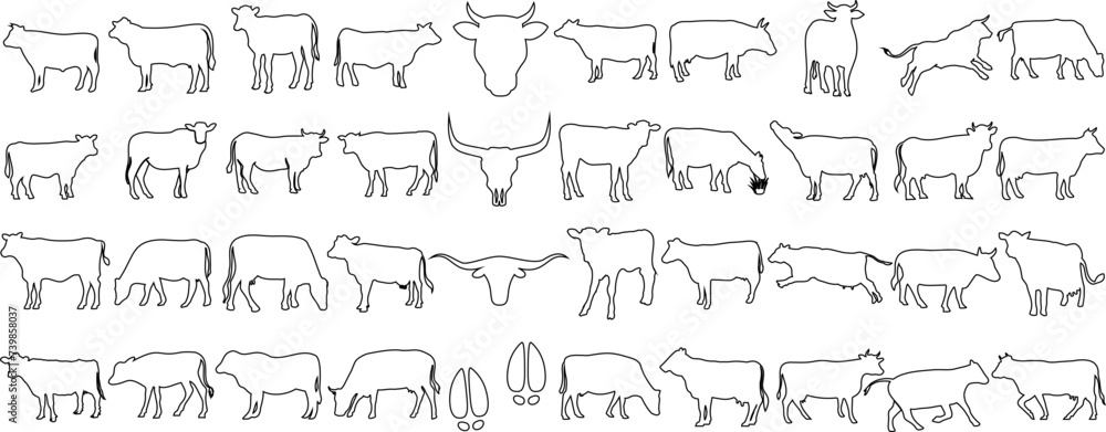 diverse cow outline Vector art, perfect for design, educational content ...