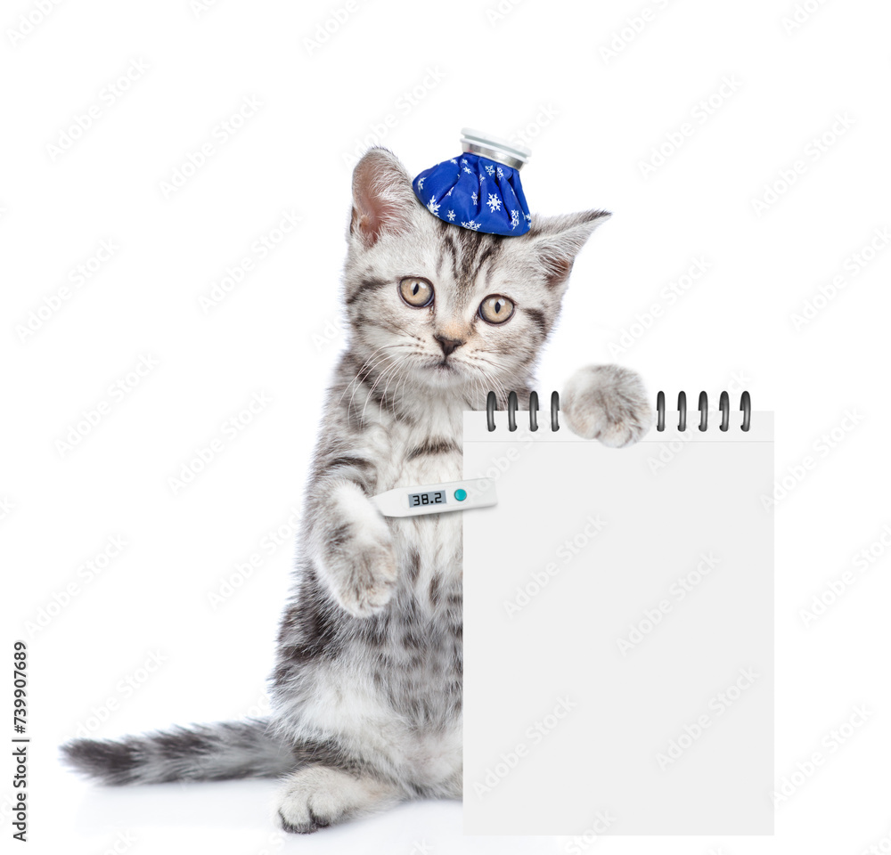 Sad sick kitten with ice bag or ice pack on his head holds a ...