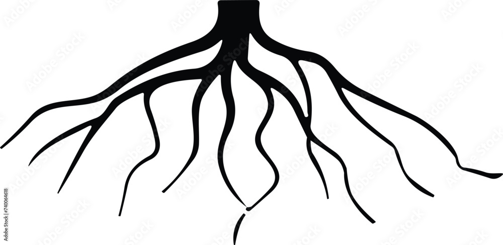 Tree root silhouette icon vector. Taproot and fibrous root system plant ...