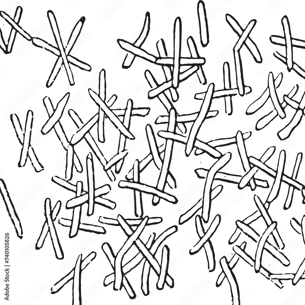 UntitleDisease-carrying flies, microscope images, anthrax disease ...