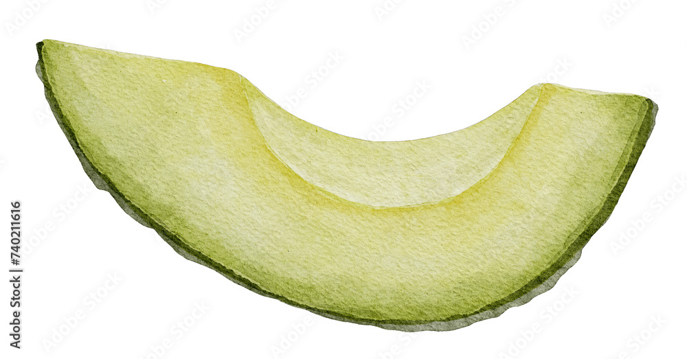 Avocado Slice Watercolor illustration. Hand drawn clip art on isolated ...