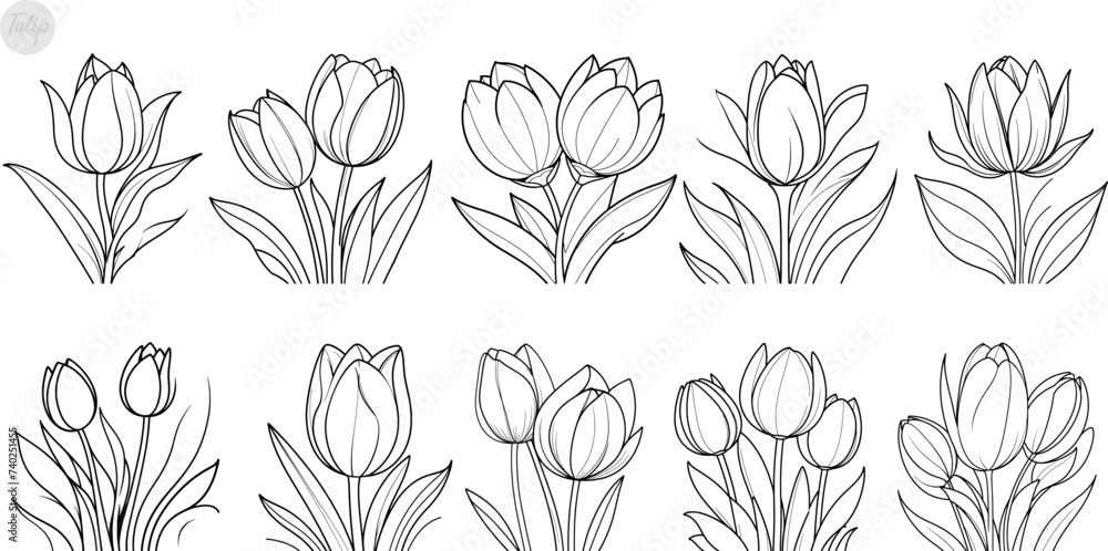 set of tulips coloring page and outline clipart vector design Stock ...