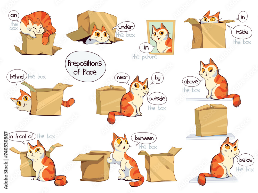 Prepositions of place. English prepositions. A clear example with a cat ...