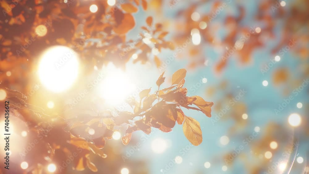 Vidéo Stock leaves with sunlight background. an autumn sunny blue sky ...