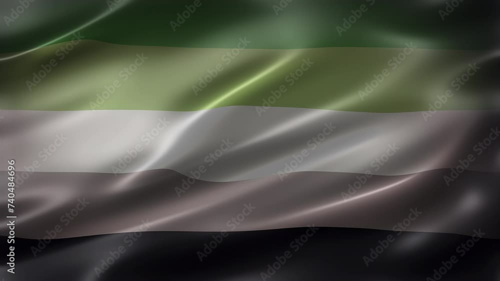 Aromantic Pride Flag, font view, full frame, glossy, fluttering ...
