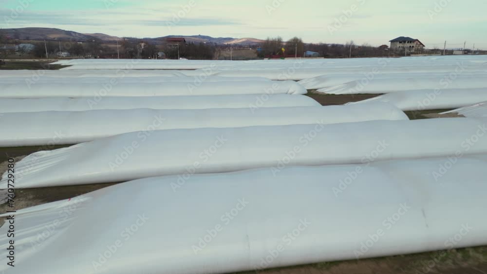 Airtight plastic bags storage for grain seen from above. Flyover ...