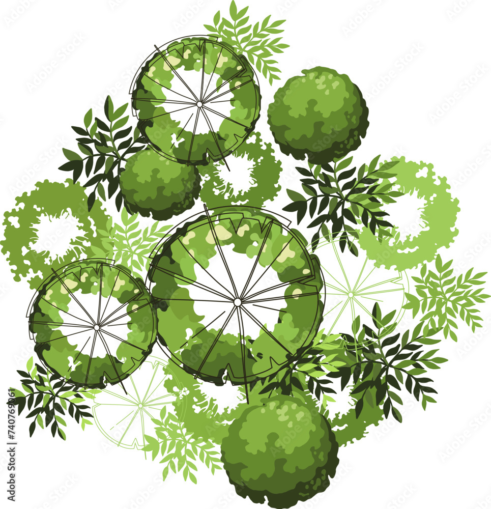 Group of trees for architectural floor plans. Entourage design. Various ...