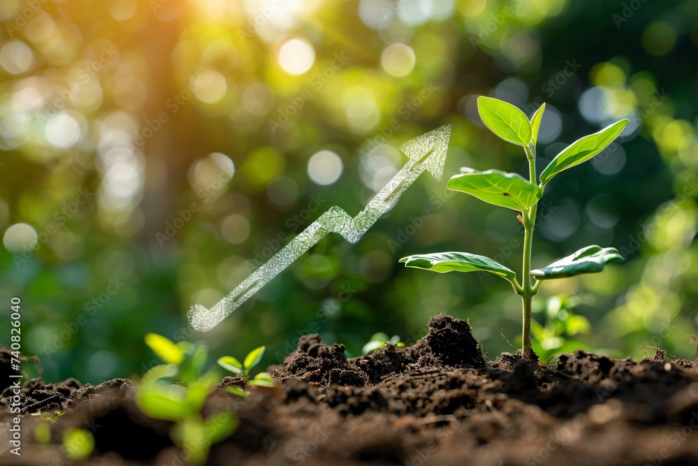 Growth of a plant mirrored by an upward arrow signifying progress and ...