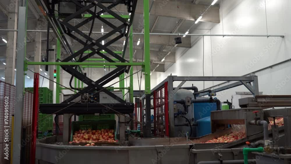 Pick and Place Robot Works on Automatic Apple Washing Line at Modern ...