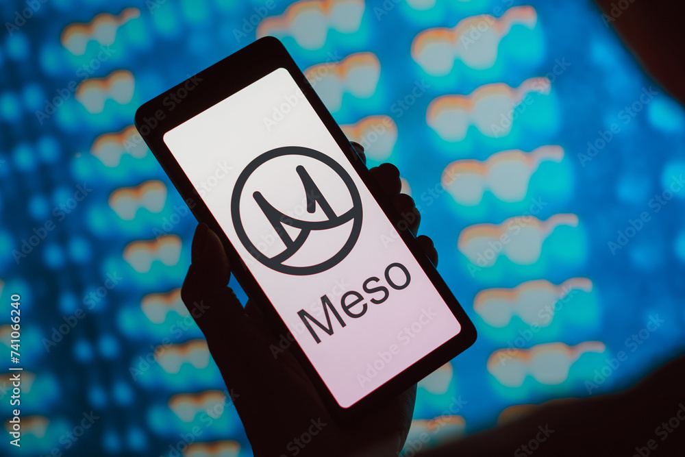 February 20, 2024, Brazil. In this photo illustration, the Meso Network ...