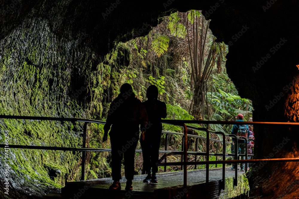 Nahuku - Thurston Lava Tube. Hawaiʻi Volcanoes National Park. A lava ...