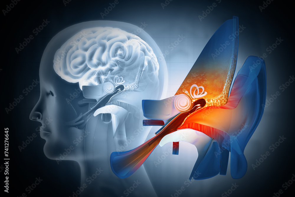 The anatomical structure of the human ear, sound wave and ear with ...