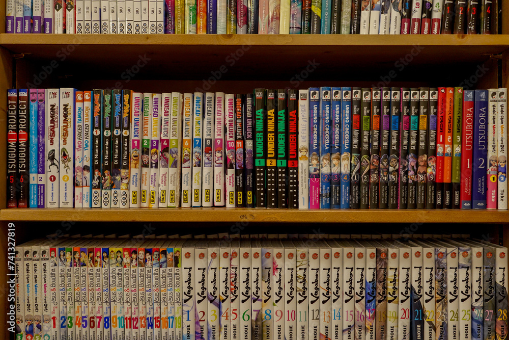 bookshelves full of mangas , animes and popular japanese comic books ...