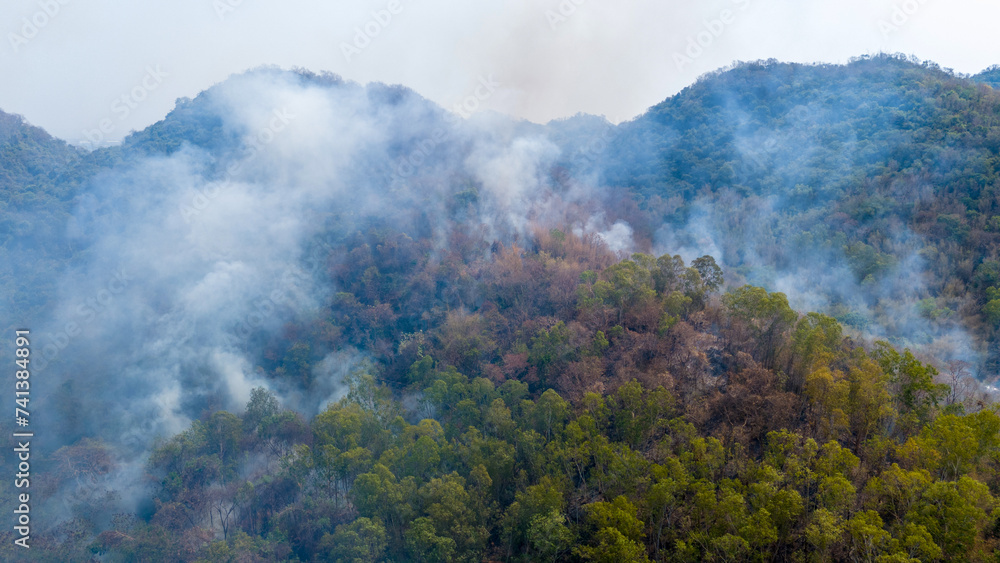 Wildfires or forest fire burning with a lot of smoke with Particulate ...