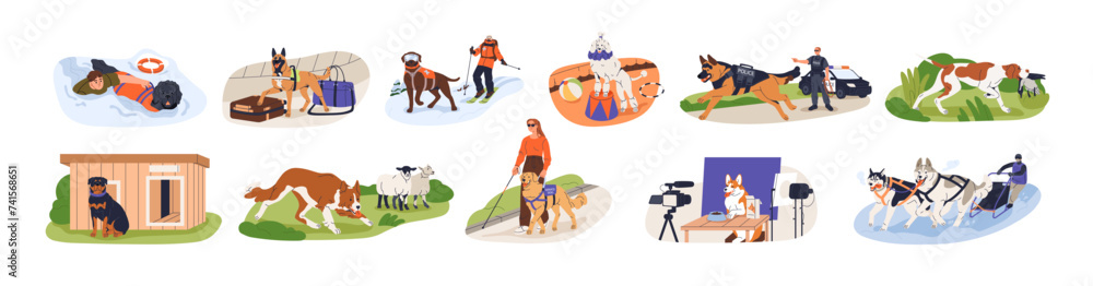 Assistance and working dogs set. Rescue, guide, guard, farm and safety ...