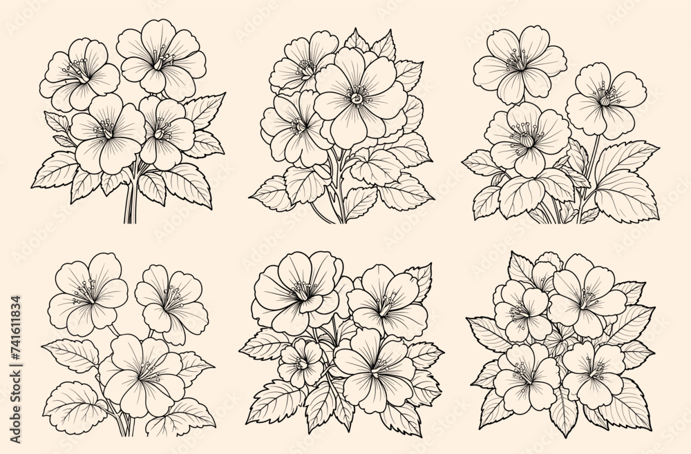Begonia flower set hand drawn coloring page and outline vector Stock ...