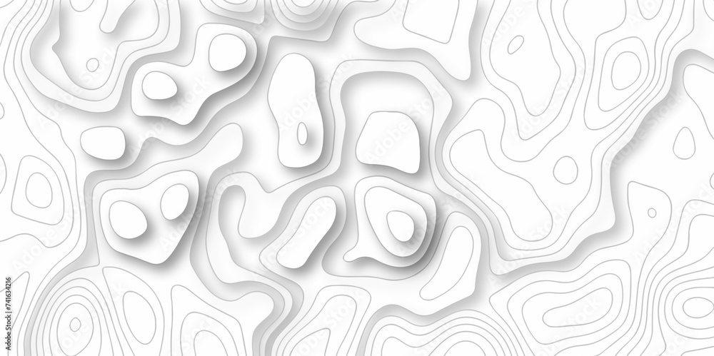 The stylized height of the topographic map in contour, lines ...