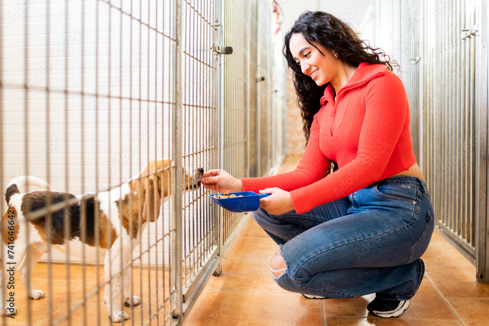 Foto de Latina woman feeds a dog at an animal shelter for adoption at a ...
