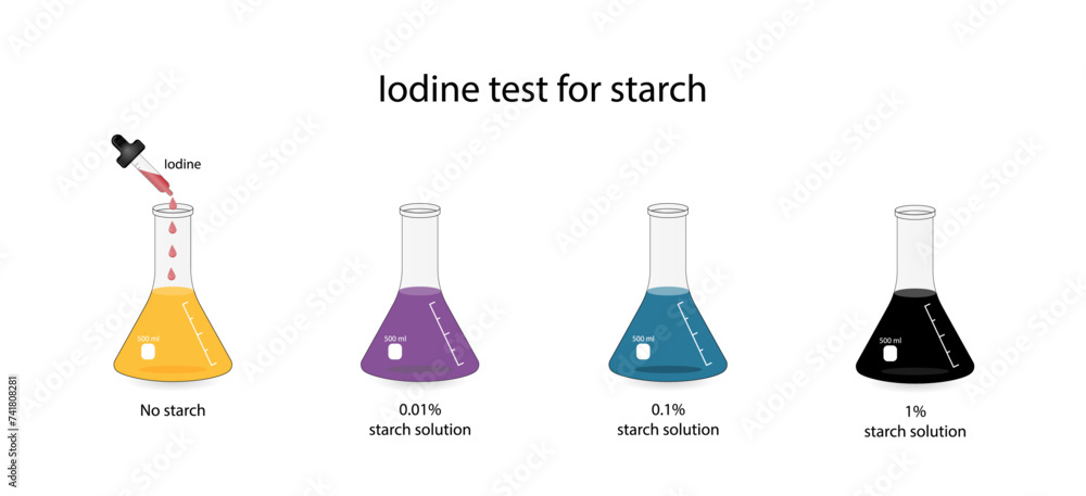 Iodine test for starch, chemical experiment. Carbohydrates in a sample ...