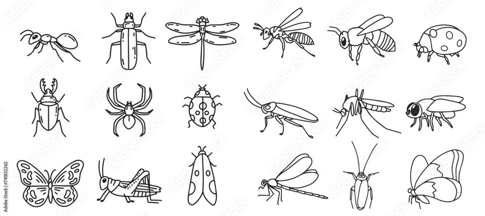 Set of vector doodle insects. Collection of modern line hand drawn bugs ...
