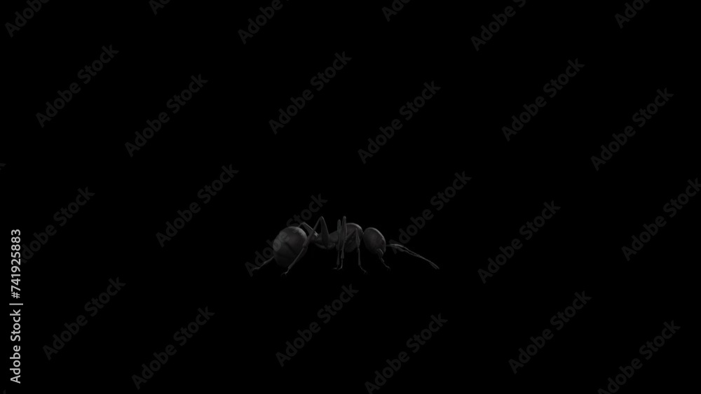 Vidéo Stock 3D Ant Insect Walk loop animation with cycle view on alpha ...
