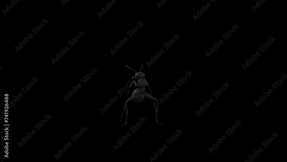 3D Ant Insect attack loop animation with back view on alpha matte ...