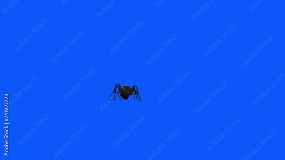 3D Ant Insect walking and approaching from a distance animation with ...
