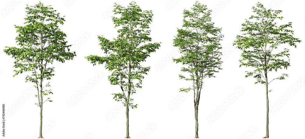 ภาพประกอบสต็อก Green trees forms for landscape clipart on transparent ...