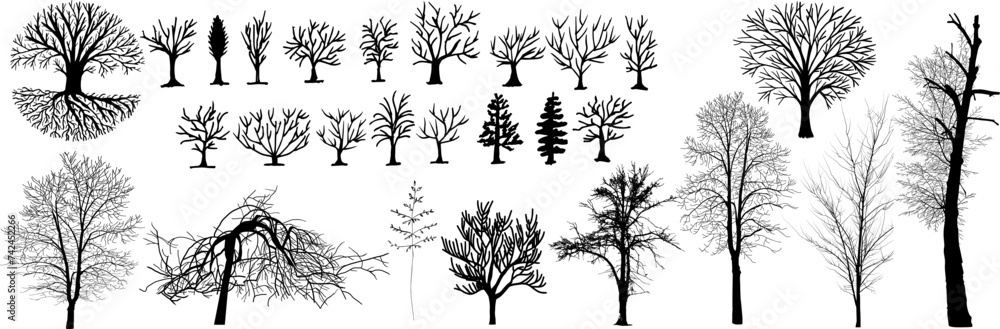 Large set of trees without leaves. Vector images of different types of ...