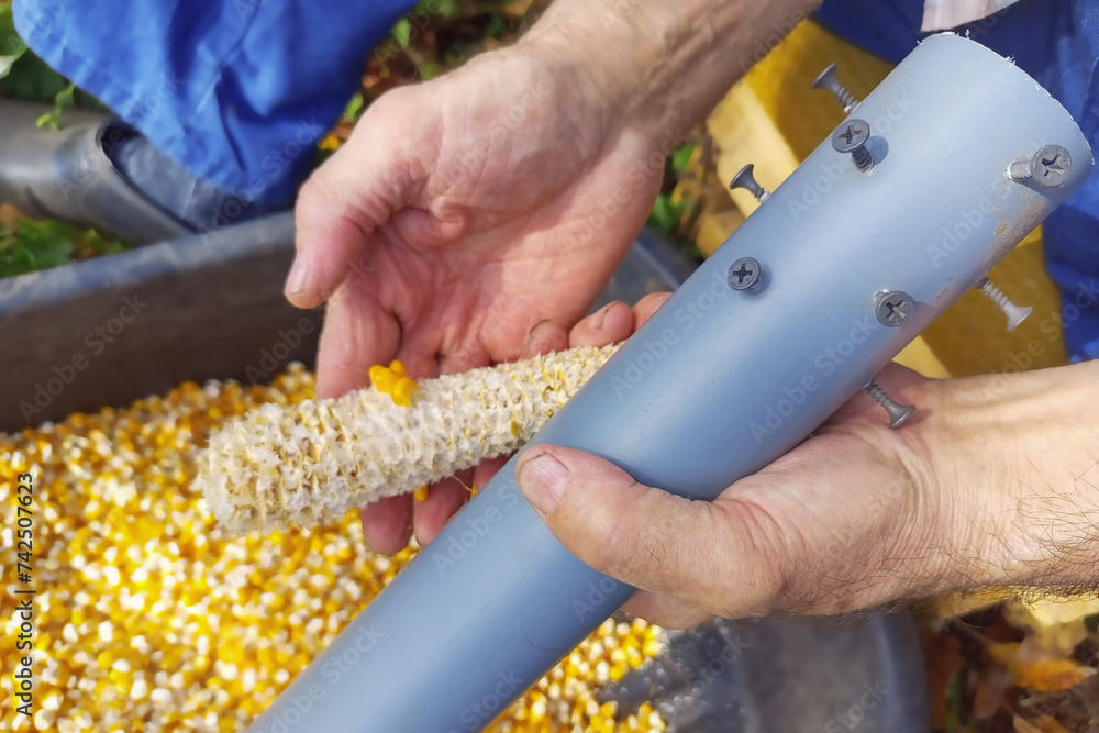 A device for separating corn kernels from the cob, made with your own ...