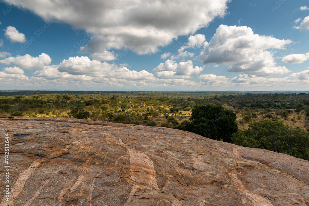 african, savanna, savannah, nature, water, sky, sea, beach, tree ...