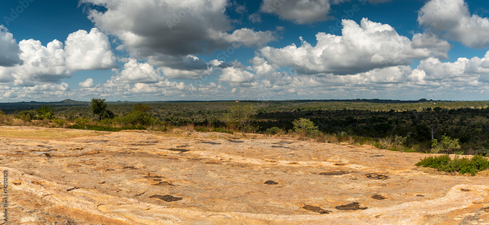 african, savanna, savannah, nature, water, sky, sea, beach, tree ...