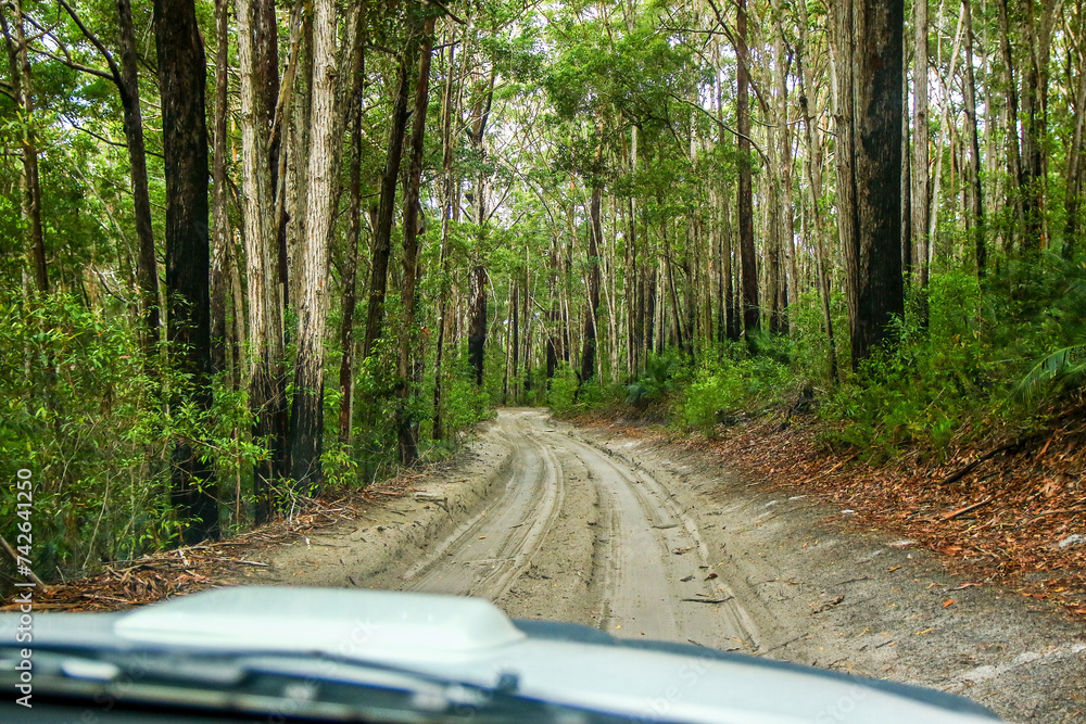Wheel tracks on a sandy road in the Great Sandy National Park on Fraser ...