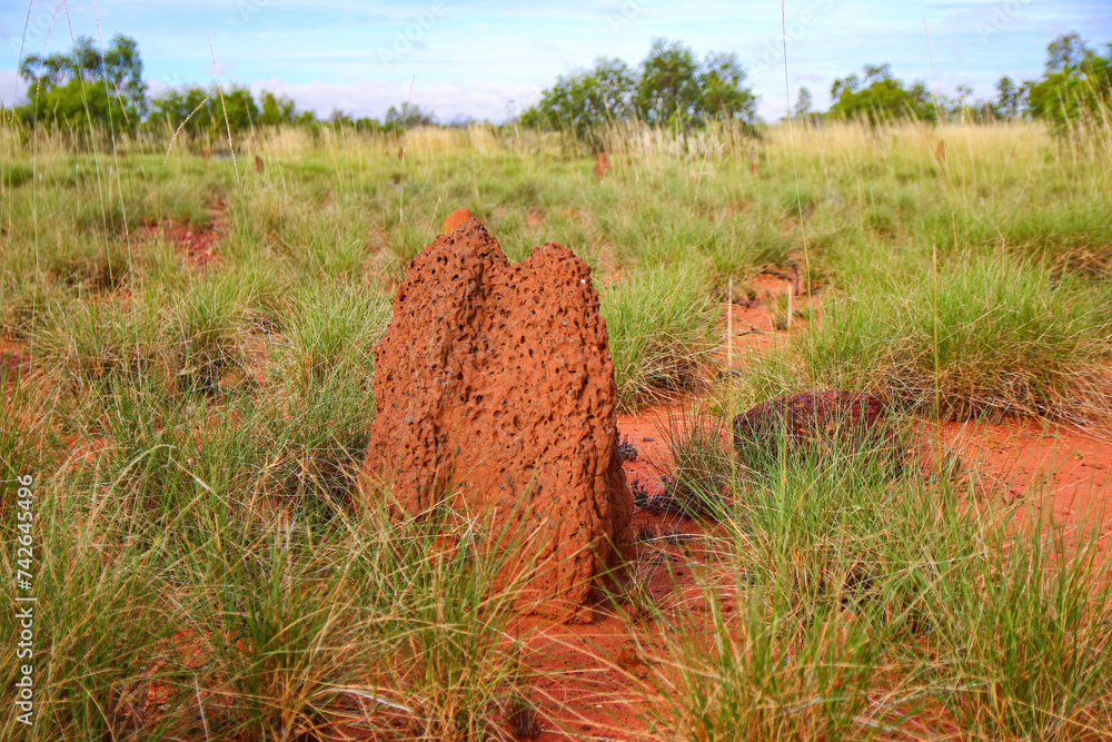 Termite mounds made of soil, saliva and dung in the bushland of the Red ...