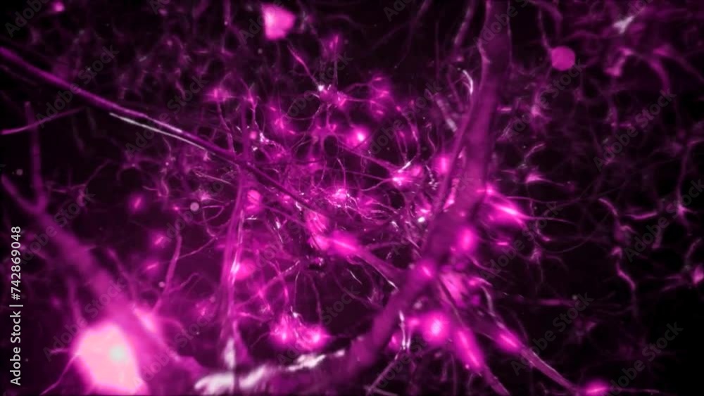 Animation of neuron cells with glowing links. Nerve cells Activity in ...