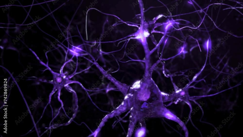 Animation of neuron cells with glowing links. Nerve cells Activity in ...