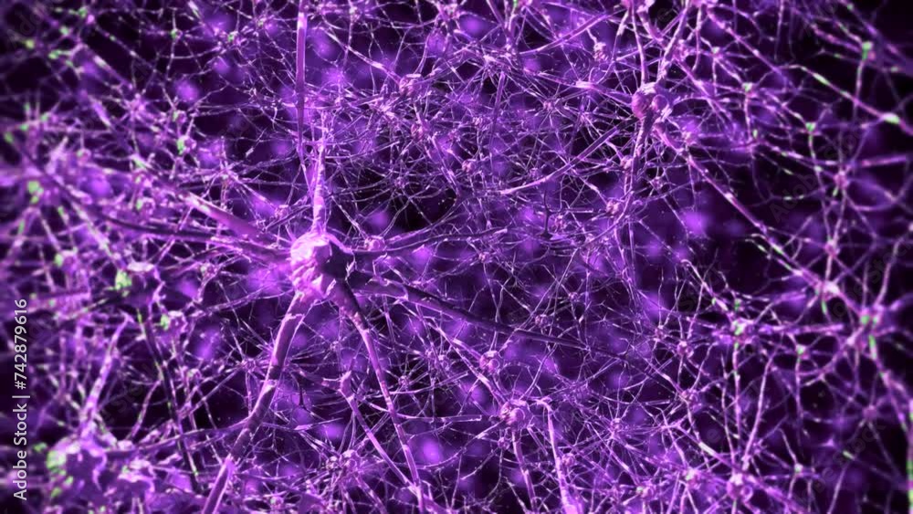 Animation of neuron cells with glowing links. Nerve cells Activity in ...
