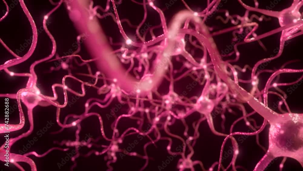 Animation of neuron cells with glowing links. Nerve cells Activity in ...